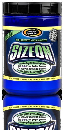 SizeOn - Gaspari Nutrition • Protein.sk